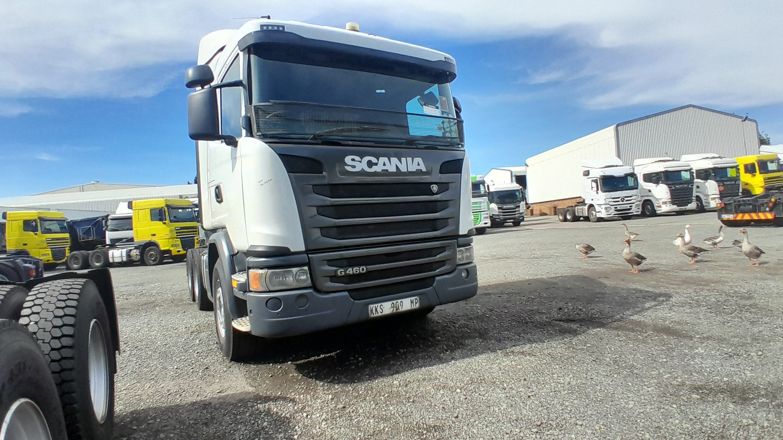 2018 Scania G460 For Sale - Tommy's Trucks
